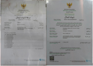 SDG 12 RESPONSIBLE CONSUMPTION AND PRODUCTION – Sustainability IPB